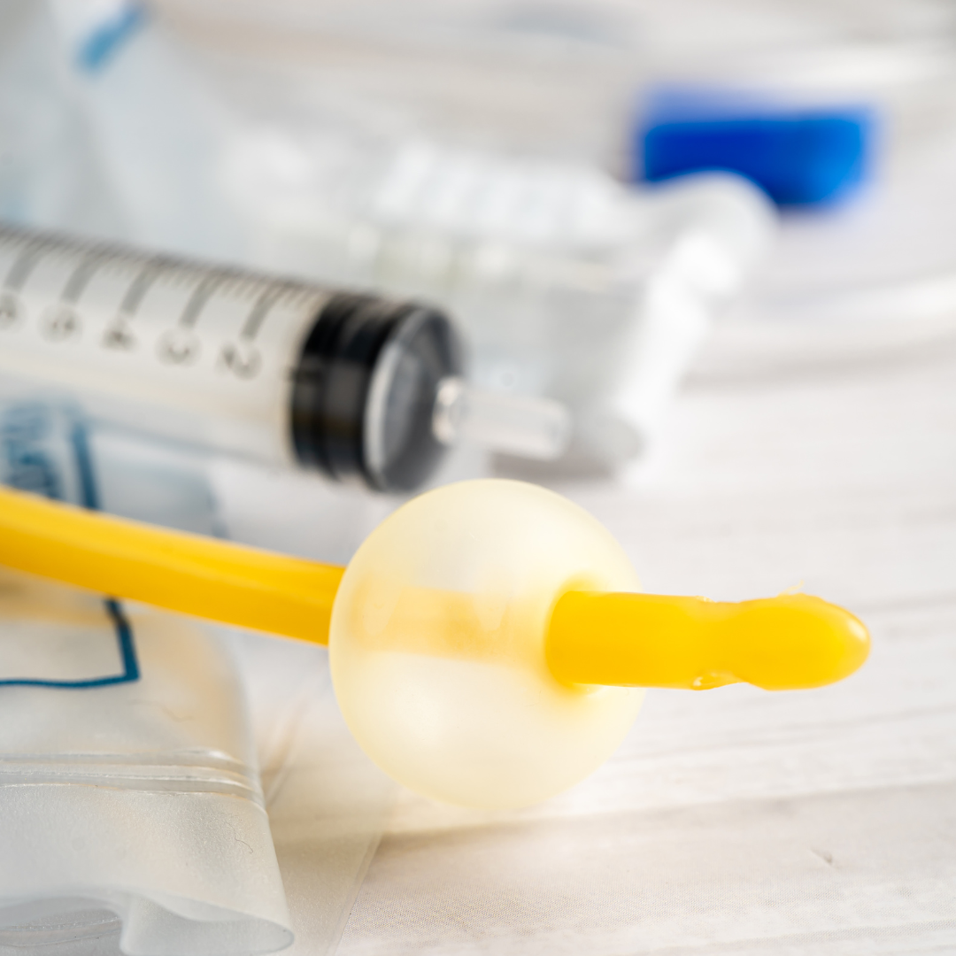 Enfermería Profesional/servicios